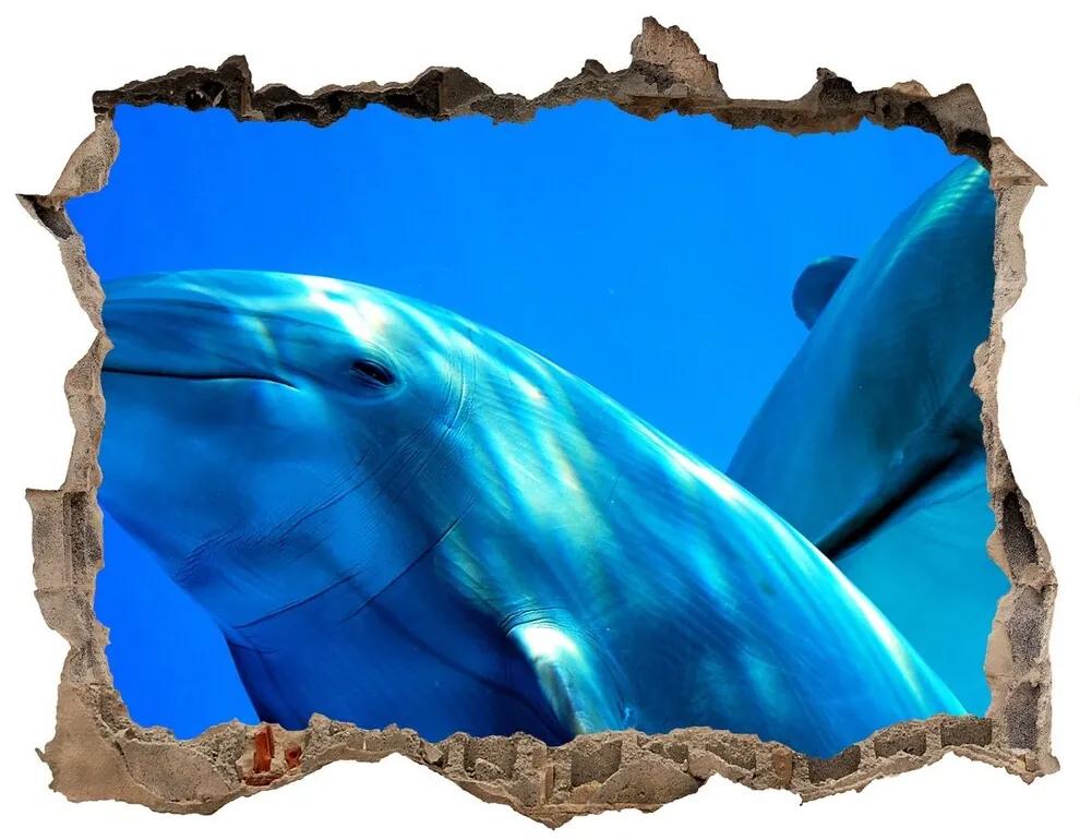 Wallmuralia Díra 3D fototapeta nástěnná Dva delfíni 95x64 cm