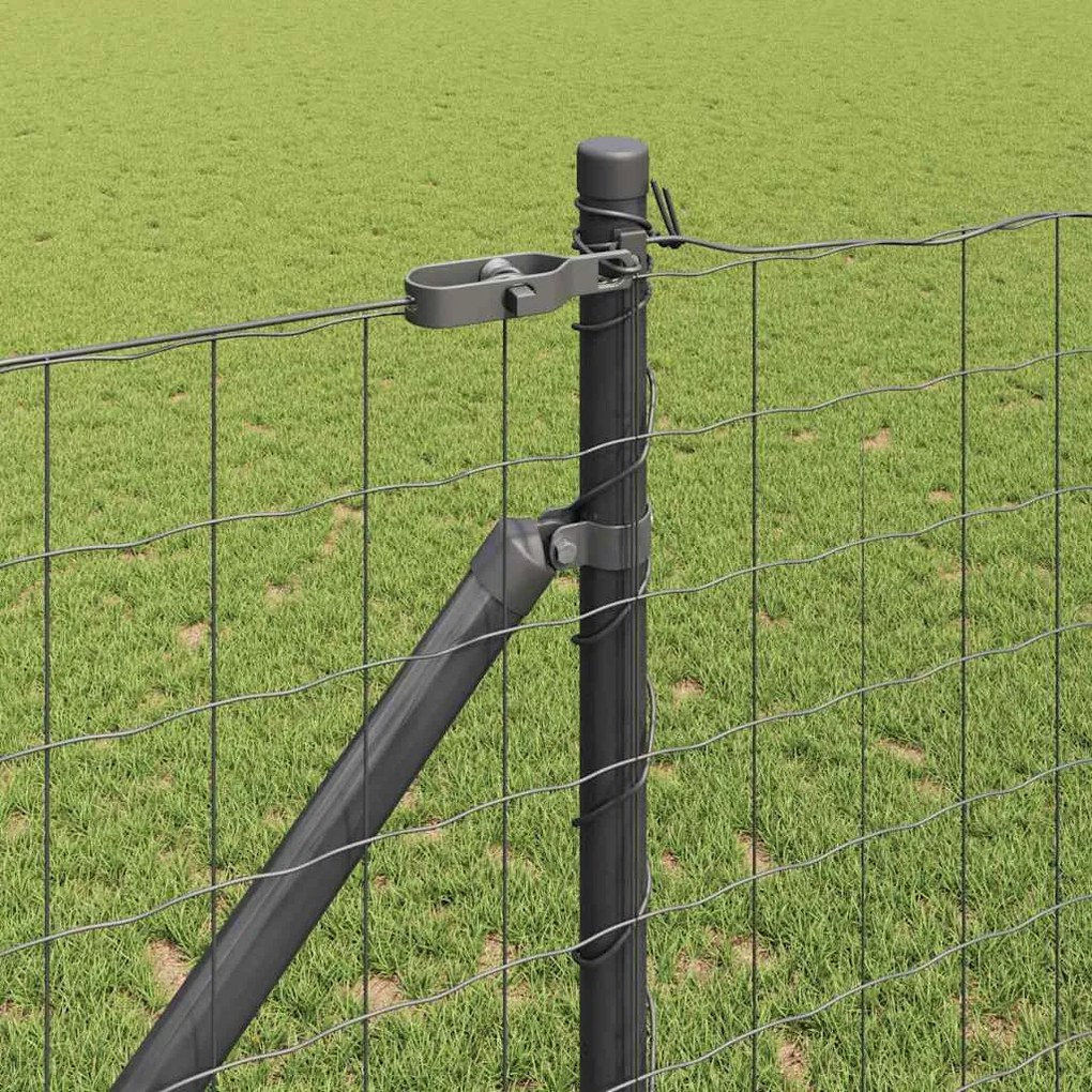 Evropský plot se hroty 10 x 1,2 m Ocel potažená PVC Šedá 3350705