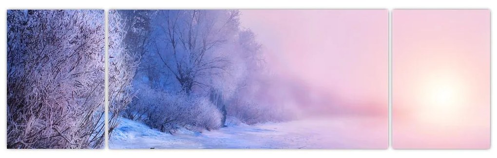 Obraz - Zamrzlá řeka (170x50 cm)