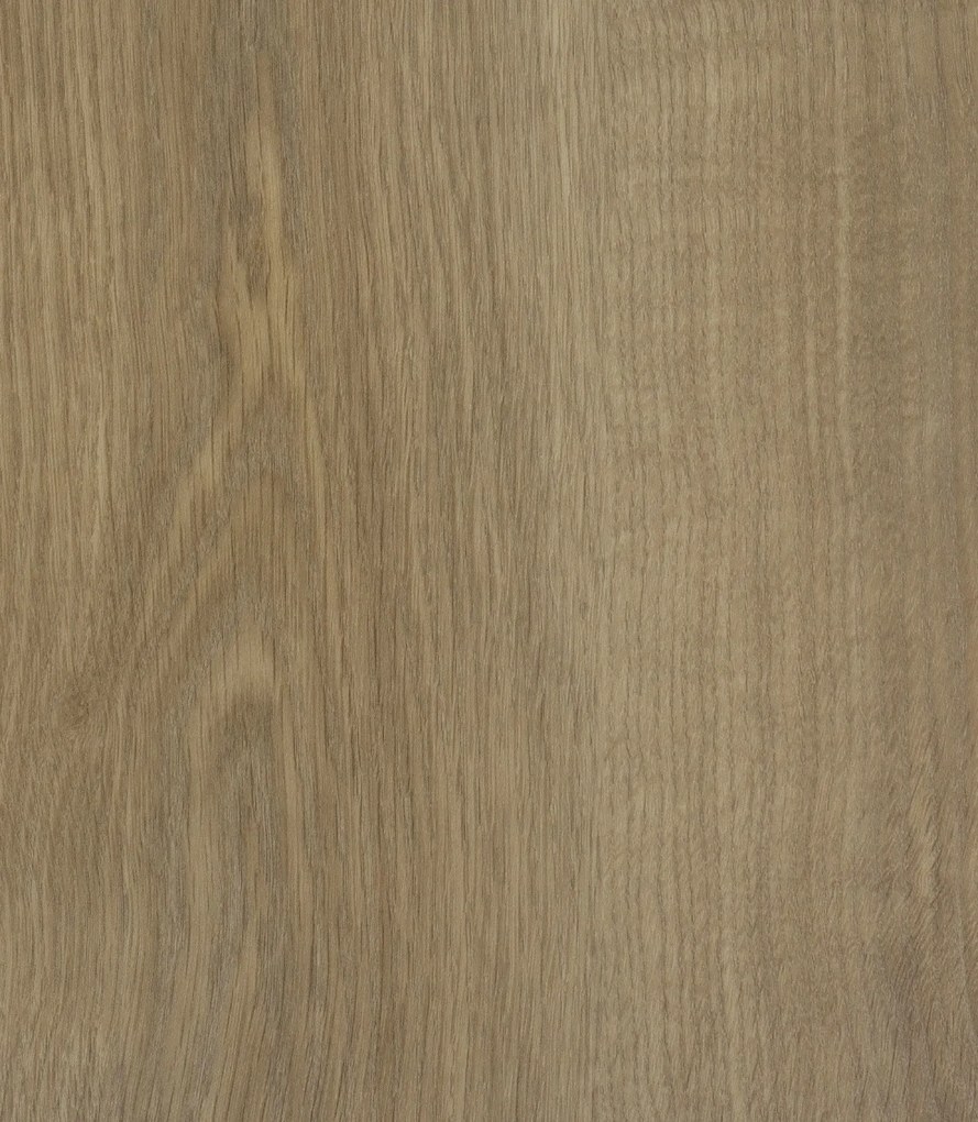 IVC Commercial, PVC podlaha - lino Logitex Ultimate 55 Elias T47, na míru, šíře 2m,4m, hnědá, filc, chodba / předsíň
