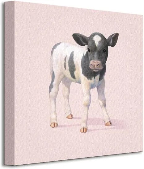Obraz na plátně Malá kravička Butler John 40x40cm WDC95274