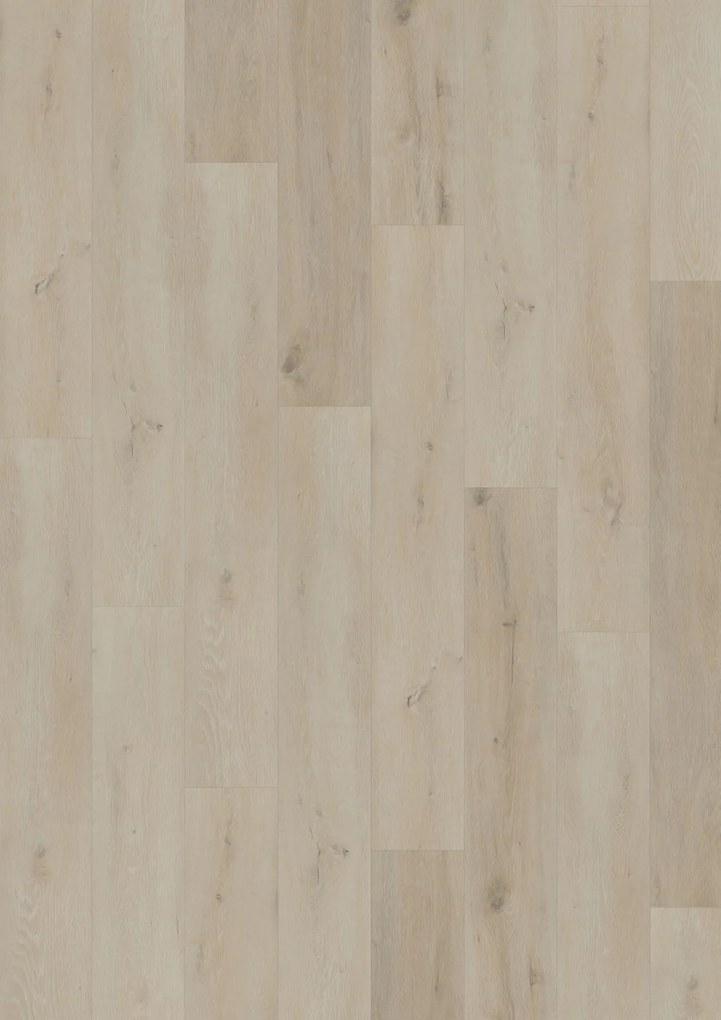 Oneflor, Vinylová podlaha lepená ECO 55 057 Prestige Oak White - dub, 1219,2 x 184,1 mm
