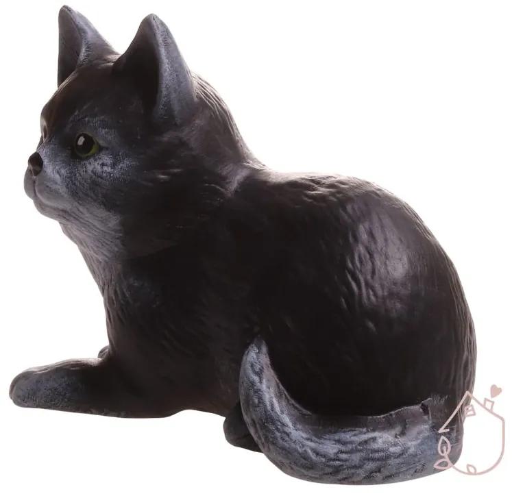 Kotě Gustík černý