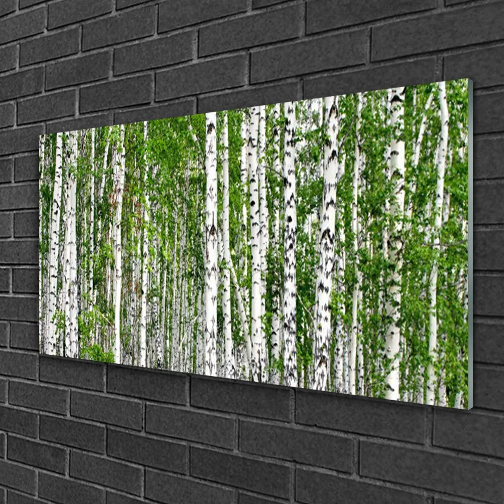 Obraz na skle Bříza Les Stromy Příroda 120x60 cm