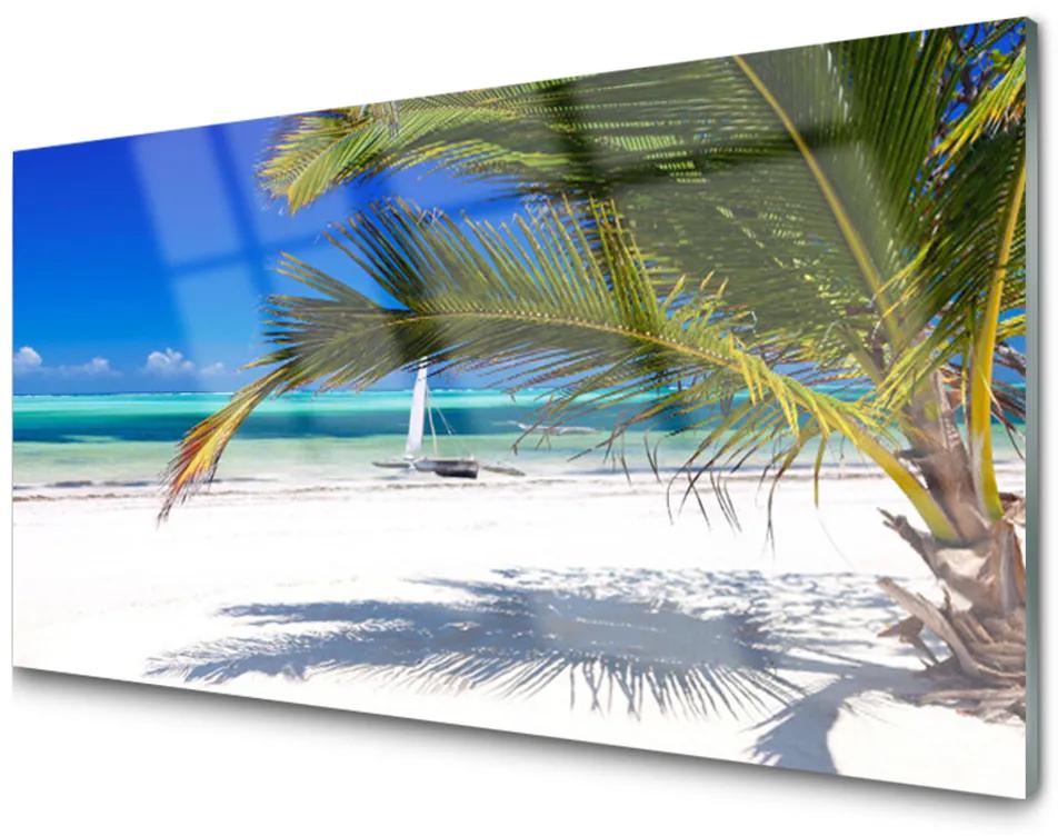 Skleněný obraz Pláž Palma Krajina