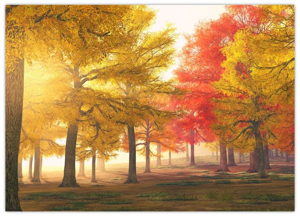 Skleněný obraz podzimních stromů (70x50 cm)