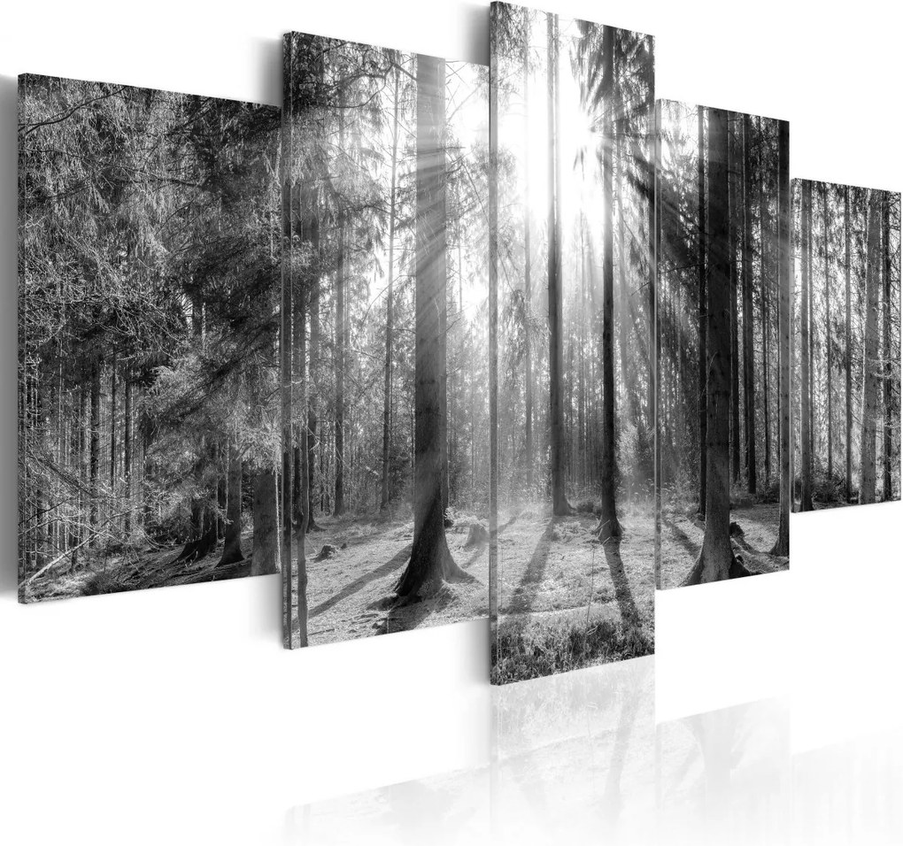Murando DeLuxe Pětidílné obrazy - les vzpomínek Velikost: 200x100 cm
