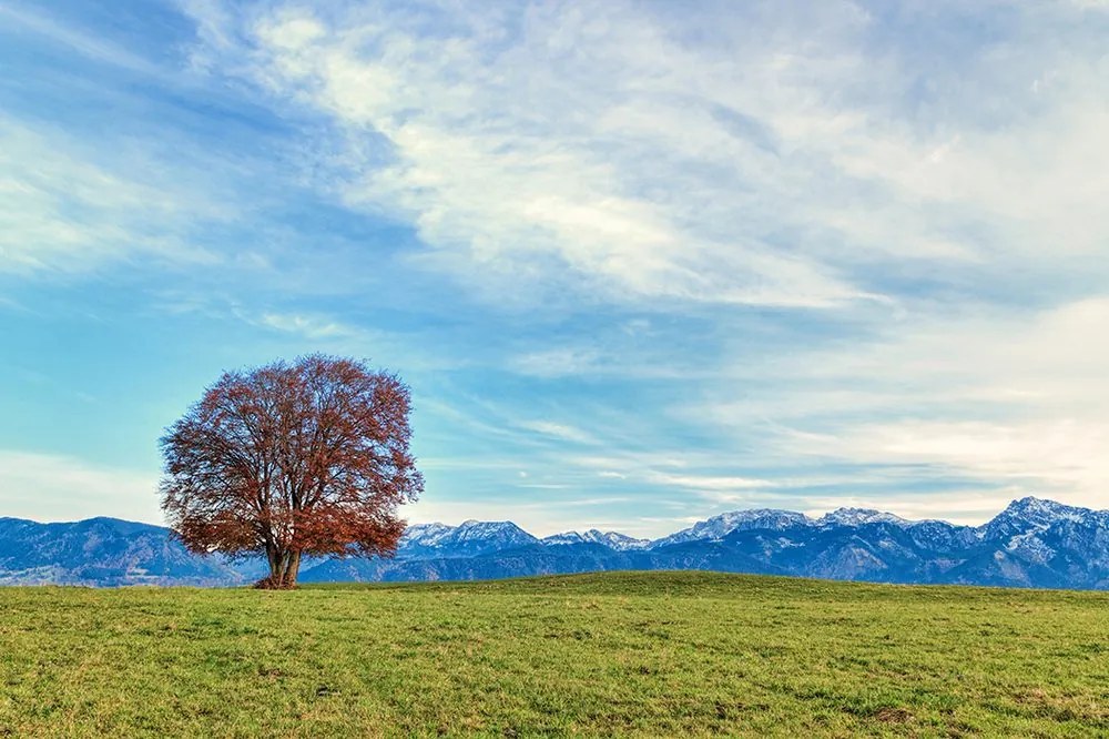 Samolepící fototapeta panorama hor