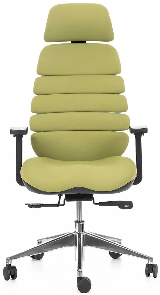 MERCURY Ergonomická kancelářská židle WORKEASE - zelená látka