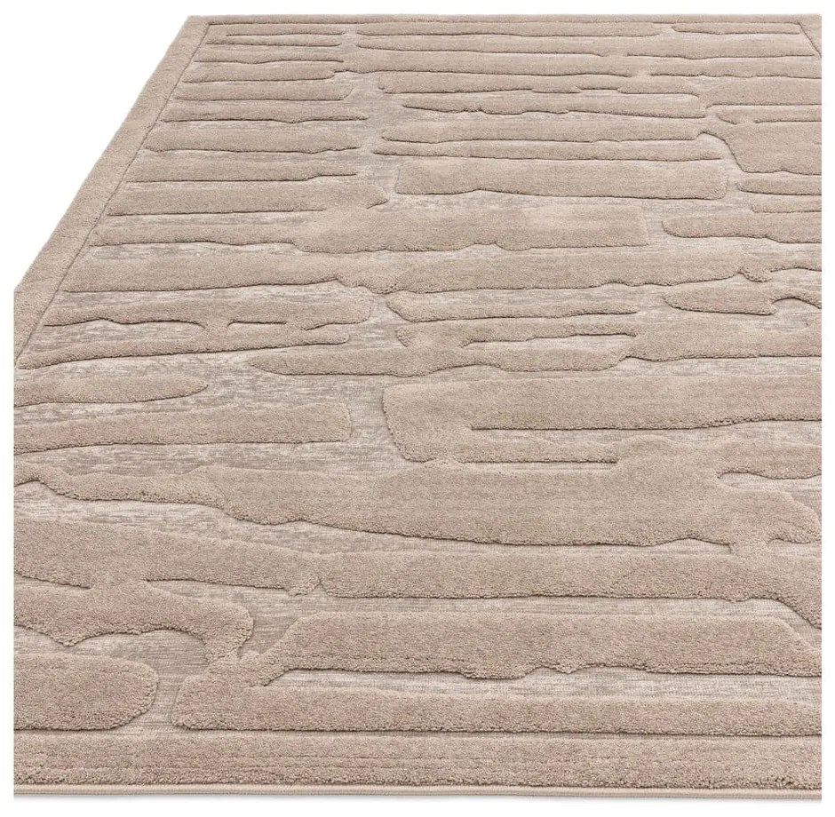 Béžový koberec 120x170 cm Valley – Asiatic Carpets