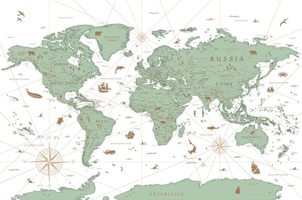 Tapeta zelená mapa - 300x200 cm