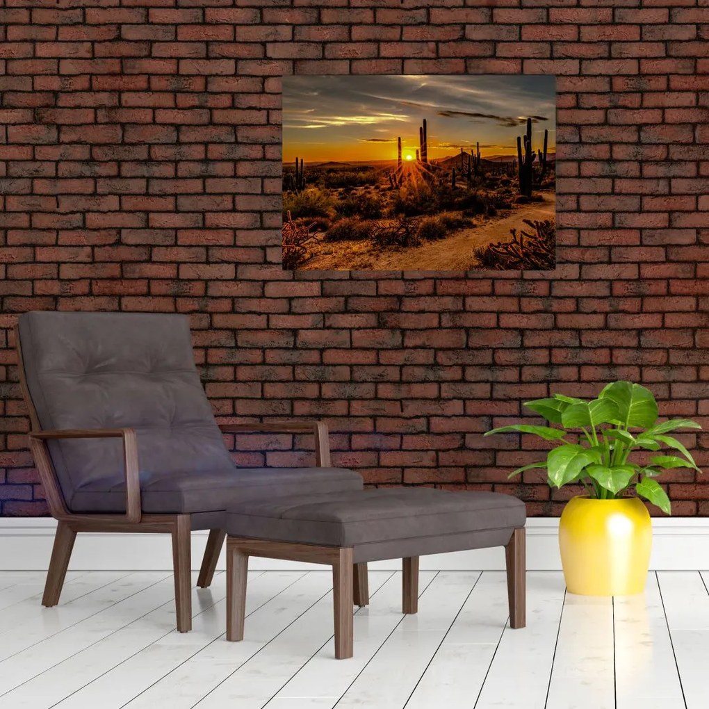 Skleněný obraz - Konec dne v arizonské poušti (70x50 cm)