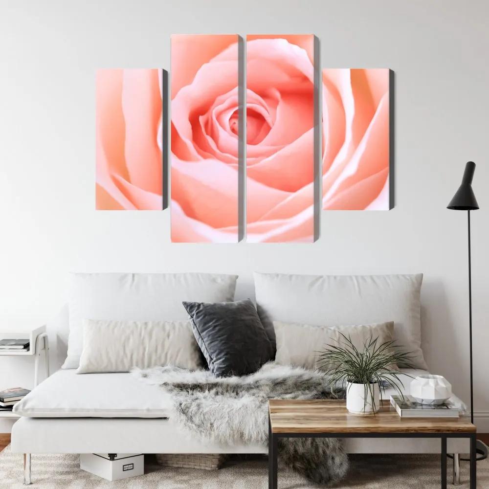 Vícedílný obraz Pastelová Růže Na 3D Makro Měřítku Nedostatek Nedostatek Plátno Canvas 160x120