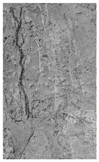 DIMEX | Vliesová fototapeta na zeď Betonová podlaha MS-2-0173  | 150 x 250 cm | šedá