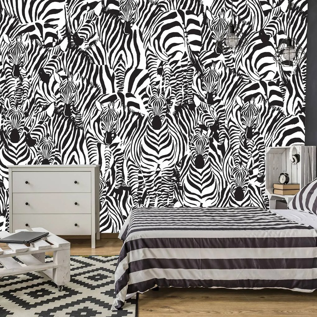 Fototapeta - Zebra (152,5x104 cm)