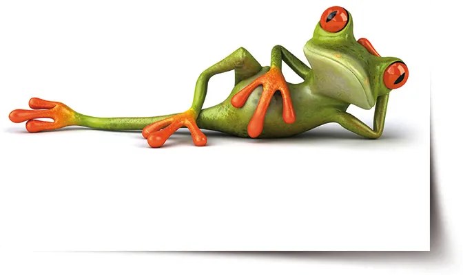 Plakát SABLIO - Ležící žába 60x40 cm