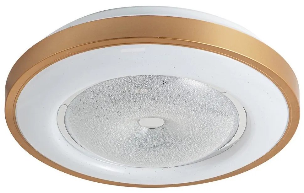 Rabalux Rabalux - LED Stropní svítidlo LED/24W/230V RL4000