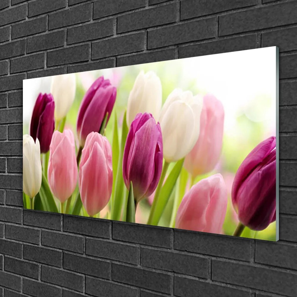 Obraz na skle Tulipány Květiny Příroda Louka 120x60 cm