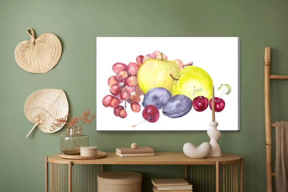 Obraz Letní Ovoce Malované Akvarelem Nedostatek Nedostatek Přírodní plátno 100x70