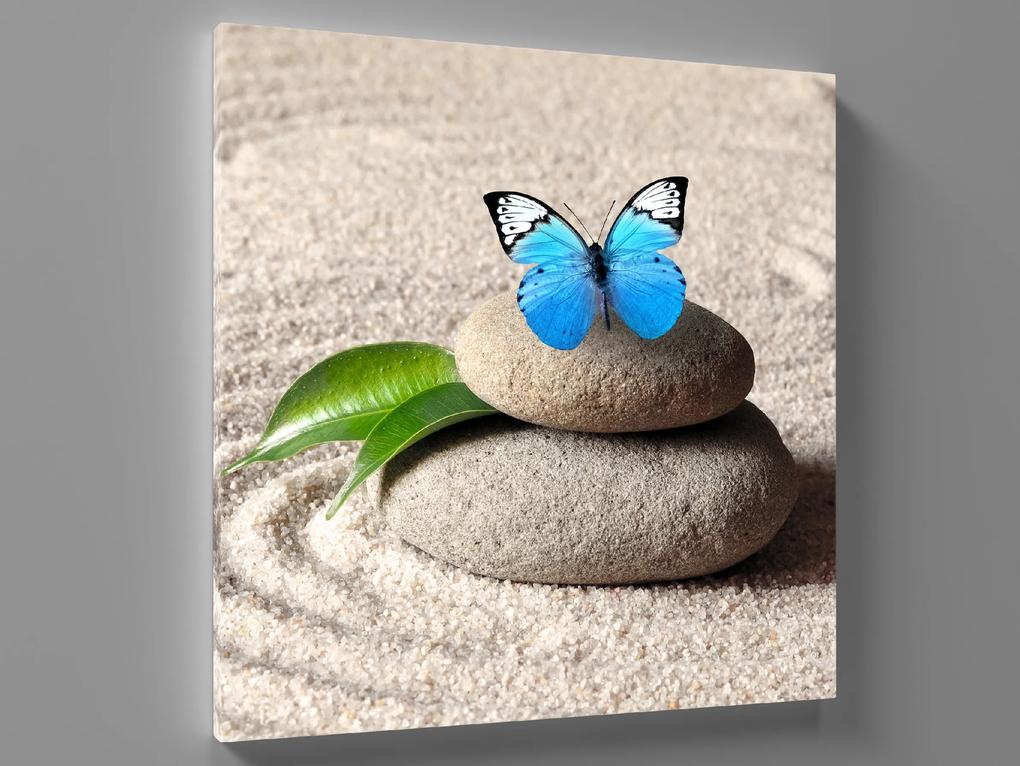 Liox Obraz kameny a motýl Rozměr: 80 x 80 cm