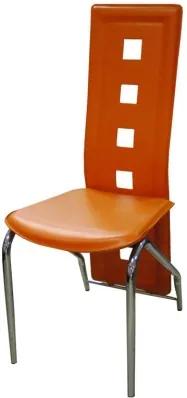 Jídelní židle F131-2