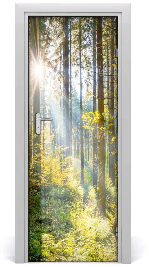 Fototapeta na dveře slunce v lese 95x205 cm