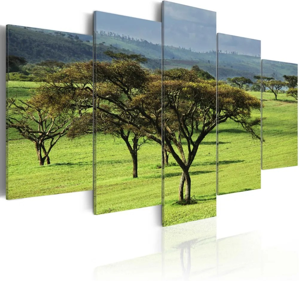 Obraz na plátně Bimago - Zelená Afrika 200x100 cm