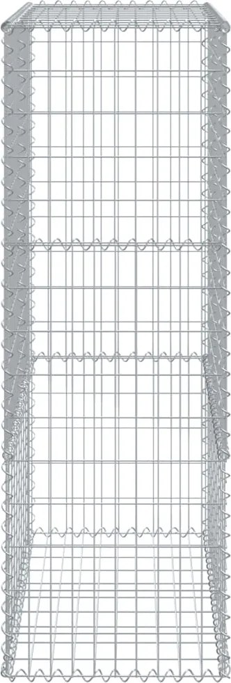 Gabionový koš s víkem 100 x 50 x 150 cm pozinkované železo 3295154