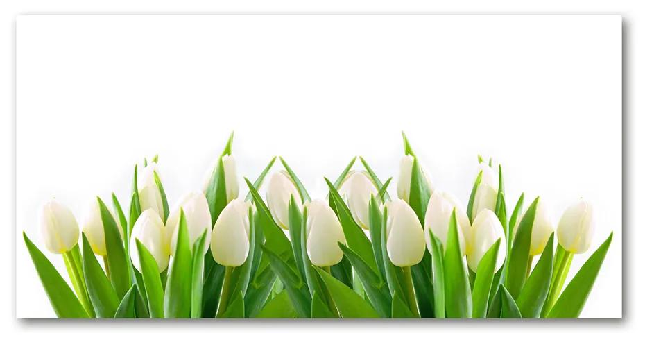 Wallmuralia Foto obraz akrylový Bílé tulipány 140x70 cm
