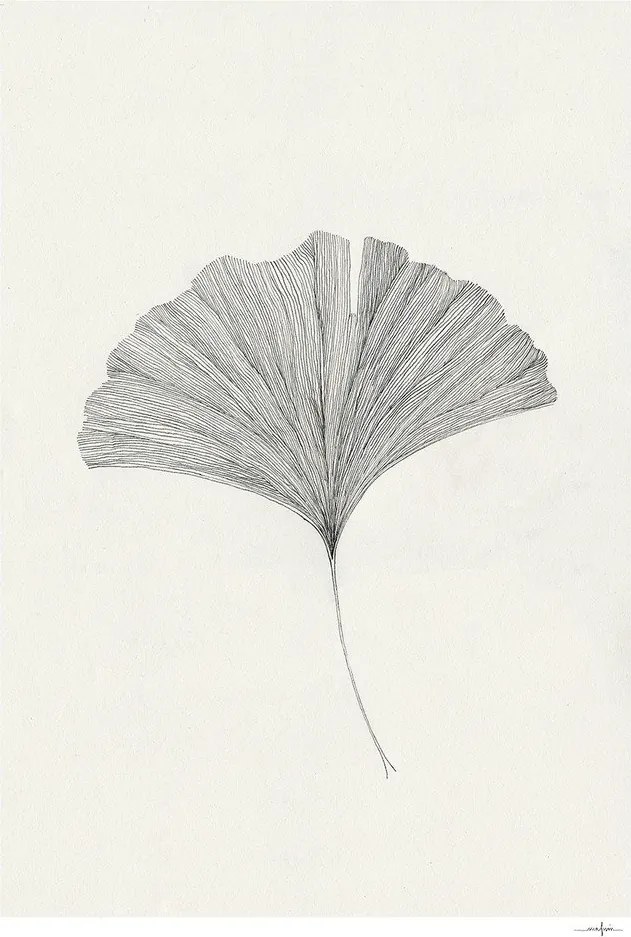 Plakát 50x70 cm Ginkgo Leaf – Ana Frois – The Poster Club