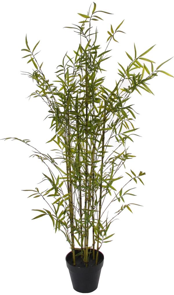 Bambus v obalu na květináč 145 cm | BIANO