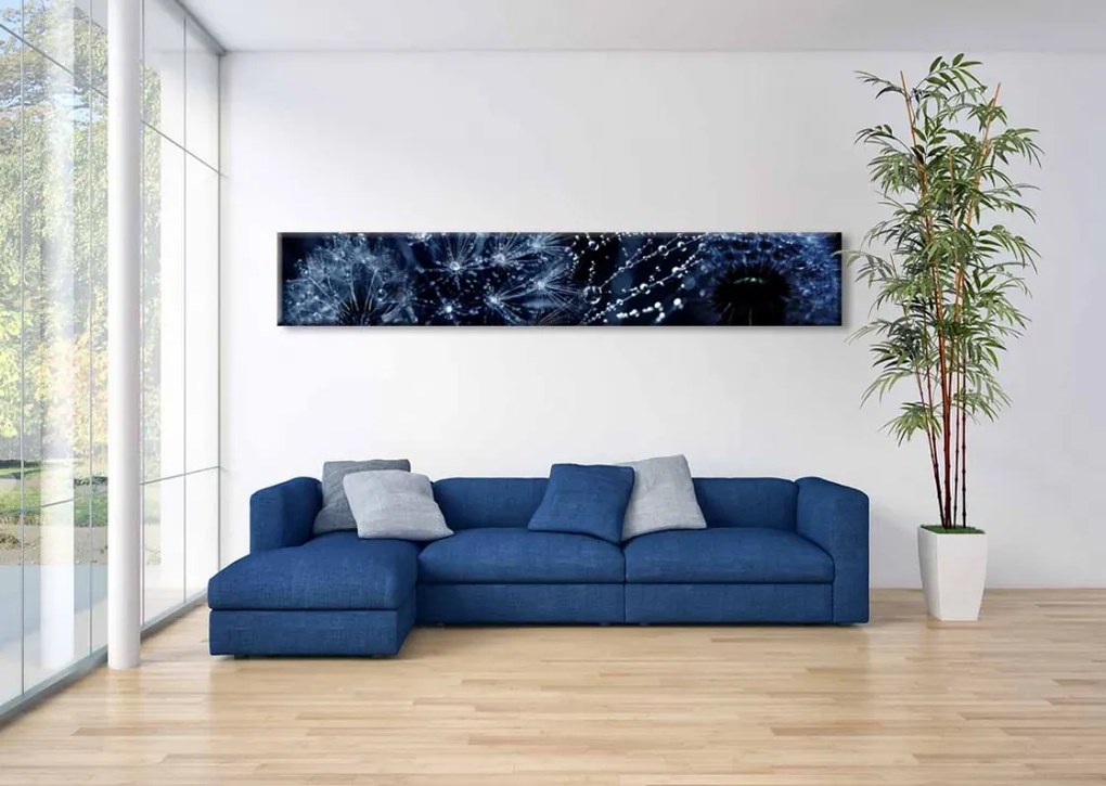 Obraz Pampeliška Blue Velikost (šířka x výška): 180x30 cm