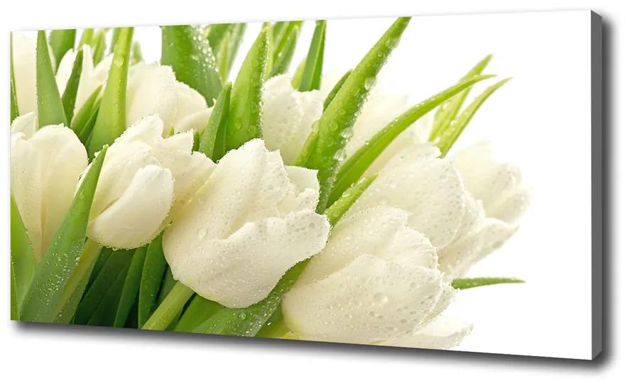 Wallmuralia Foto obraz tištěný na plátně Bílé tulipány 100x50 cm