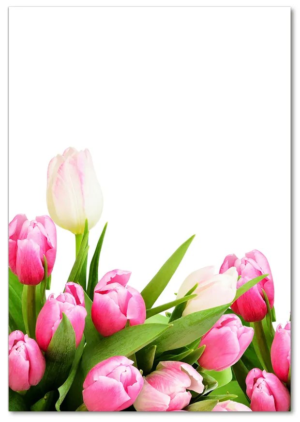 Wallmuralia Foto obraz akrylové sklo Růžové tulipány 70x100 cm