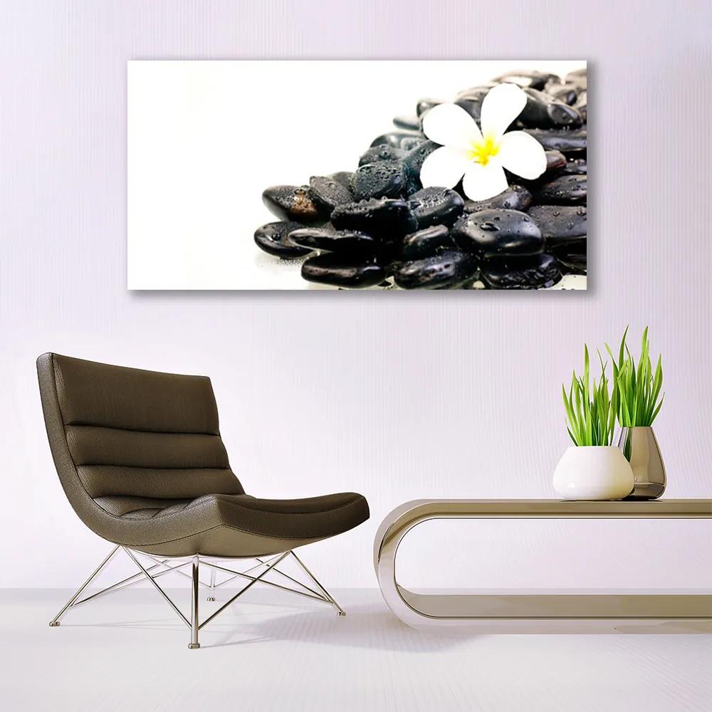 akrylový obraz Květiny Kameny Umění 120x60 cm