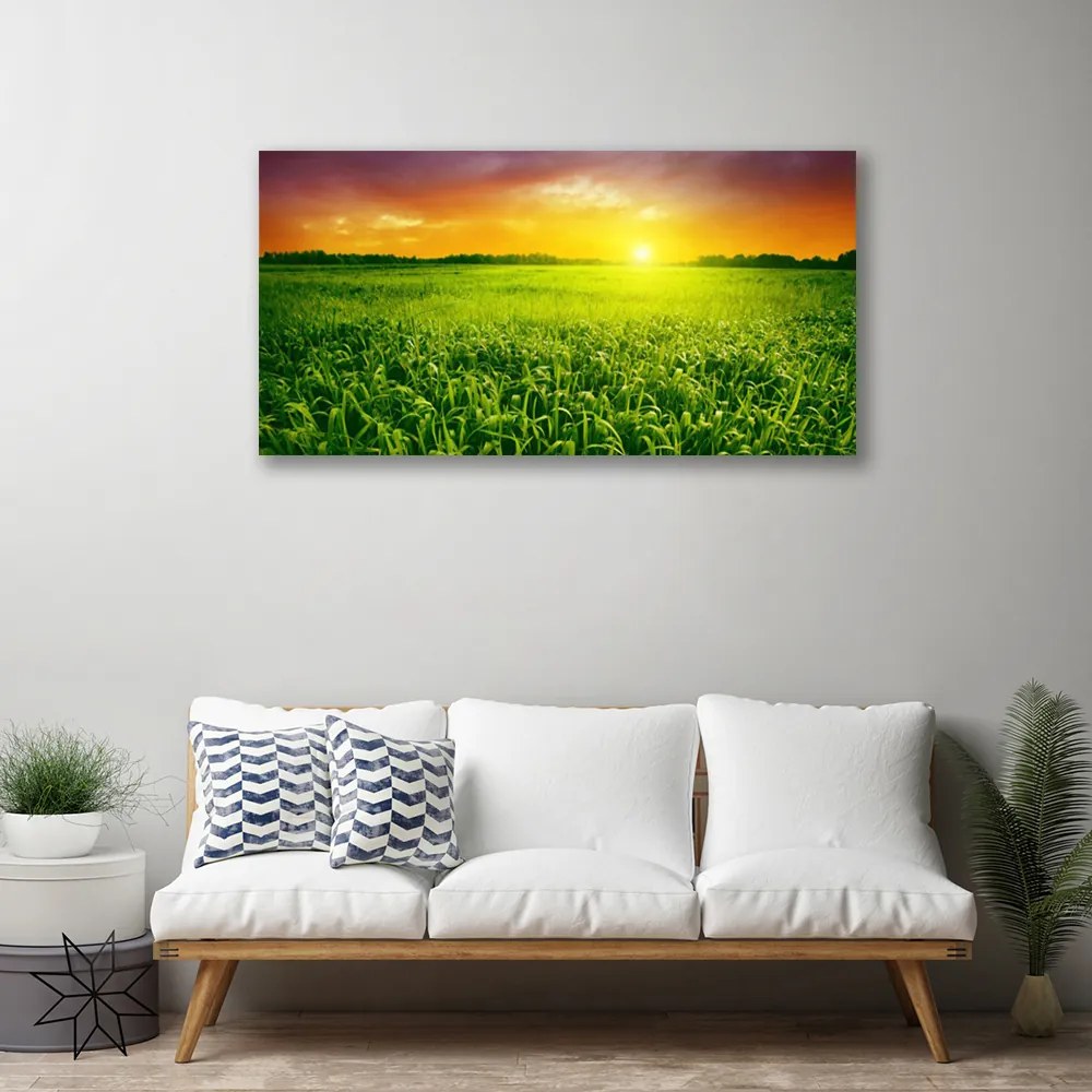 Obraz na plátně Obilí Pole Východ Slunce 125x50 cm
