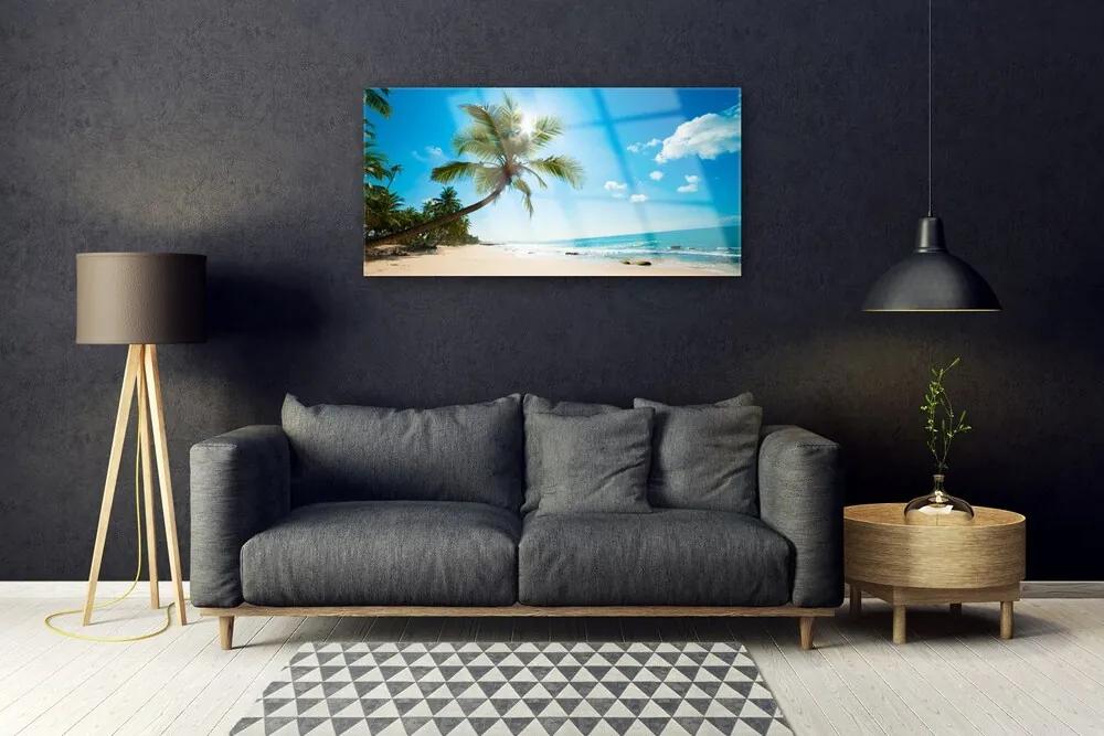 akrylový obraz Palma Strom Pláž Krajina 100x50 cm