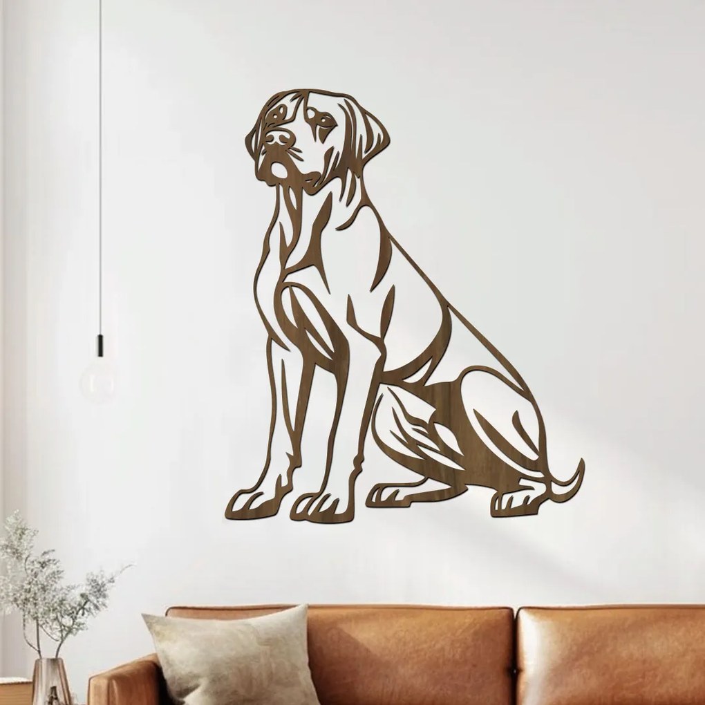 dřevo života Dřevěný obraz Brazilská Fila Zvolte rozměr (cm): 32x40, Zvolte barvu dekoru: Antracitová