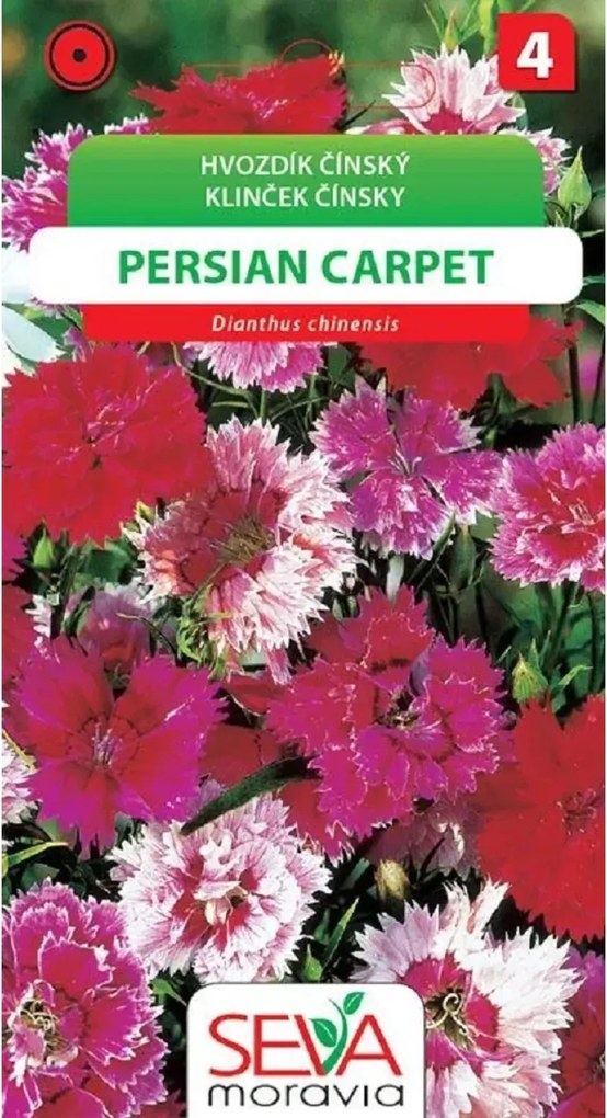 Semínka Hvozdík čínský Persian Carpet (Dianthus chinensis)