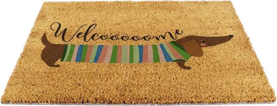 Rohožka z kokosového vlákna 40x60 cm Welcome Sausage Dog – Artsy Doormats