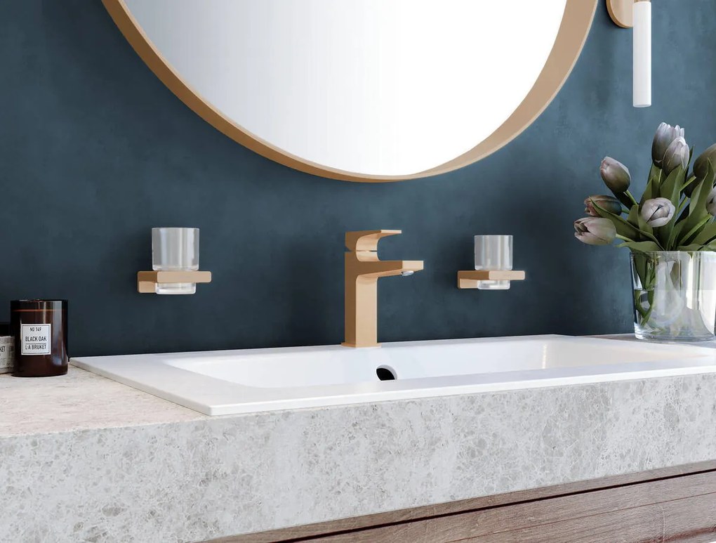 Hansgrohe AddStoris, nádobka na ústní hygienu, kartáčovaný bronz, HAN-41749140