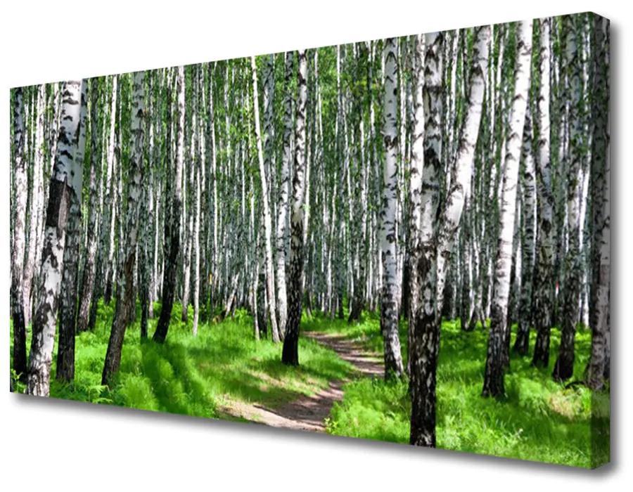 Obraz na plátně Stromy Tráva Příroda 100x50 cm