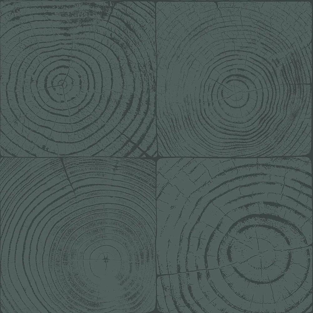 Modrá vliesová tapeta, imitace dřeva s letokruhy 347549, Matières - Wood, Origin