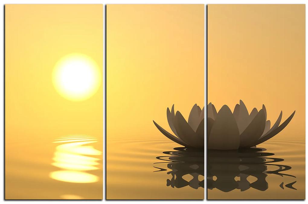 Obraz na plátně - Zen lotus 1167B (90x60 cm  )