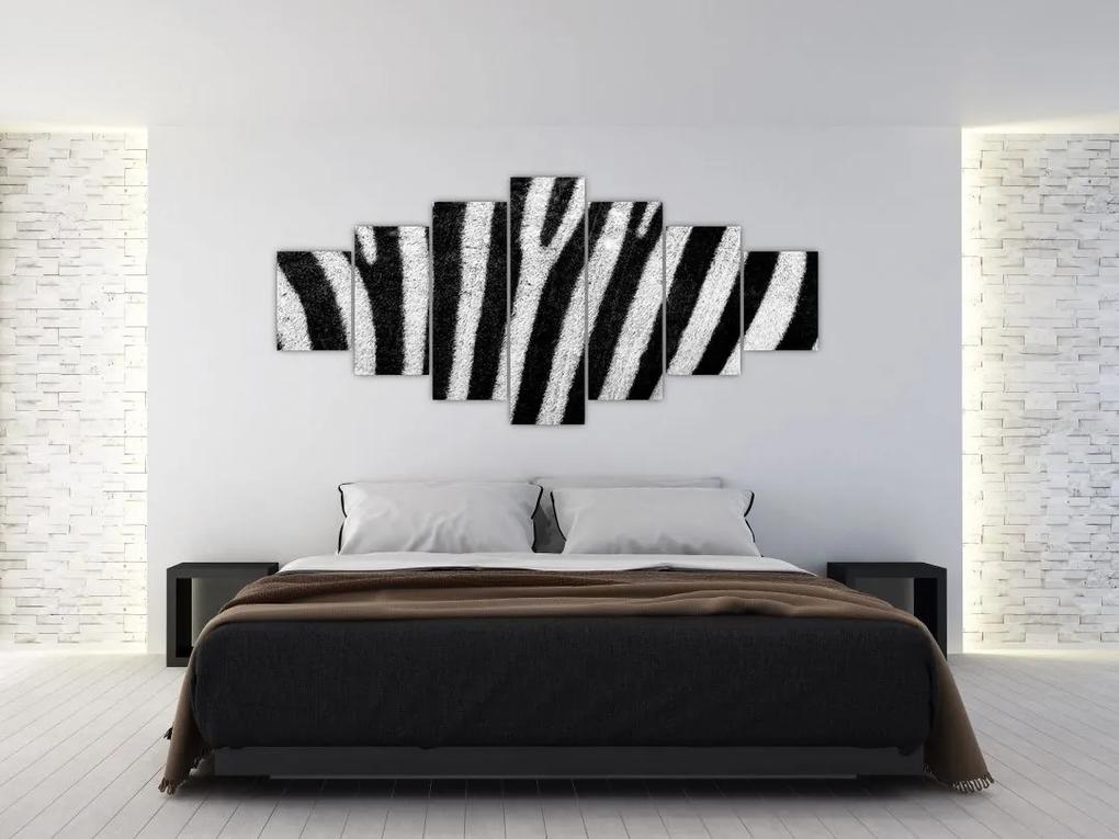 Obraz kůže zebry (210x100 cm)