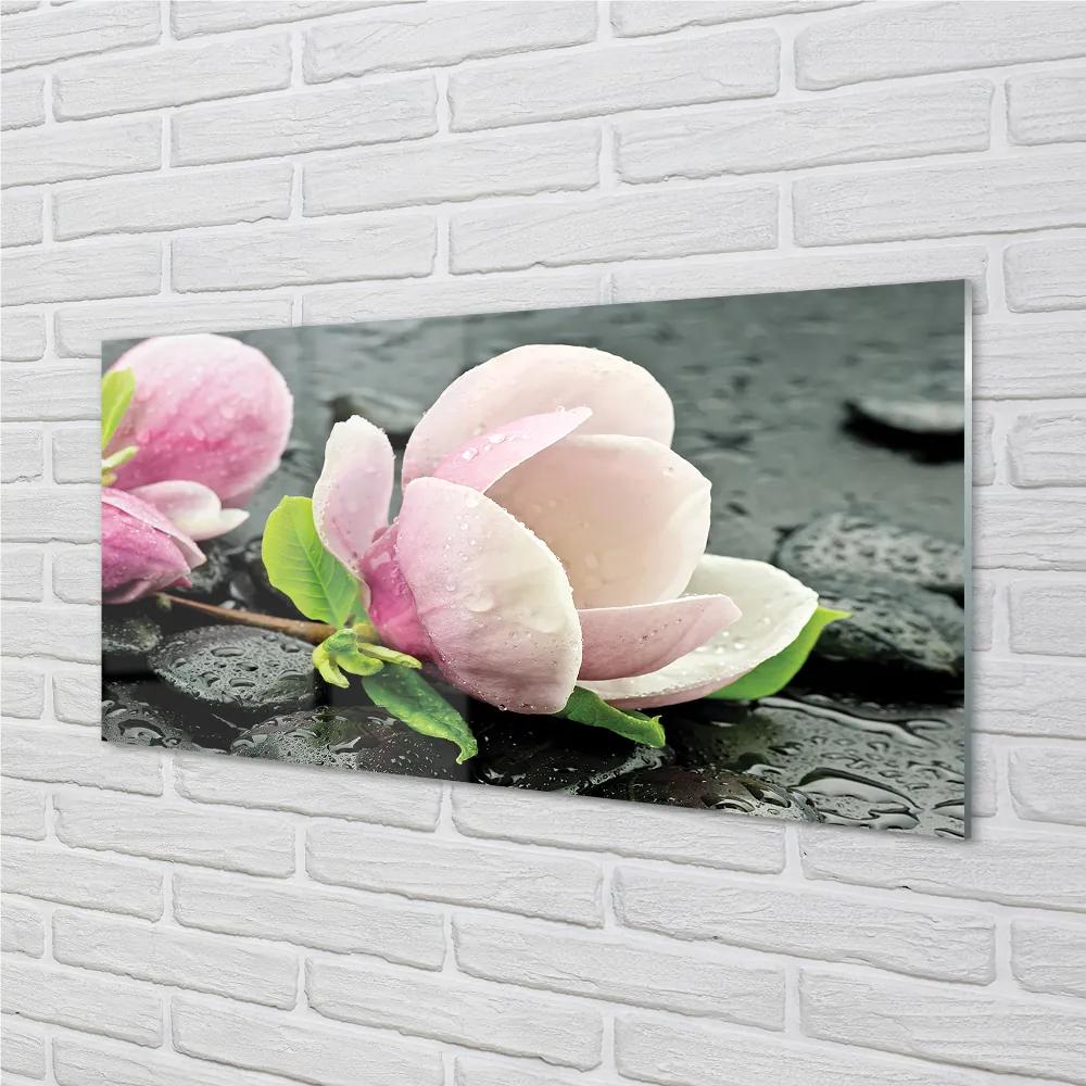 akrylový obraz Magnolia kameny 100x50 cm