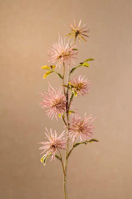 Paramit DRY MINI XANTHIUM Aranžovací květina růžová 53 cm