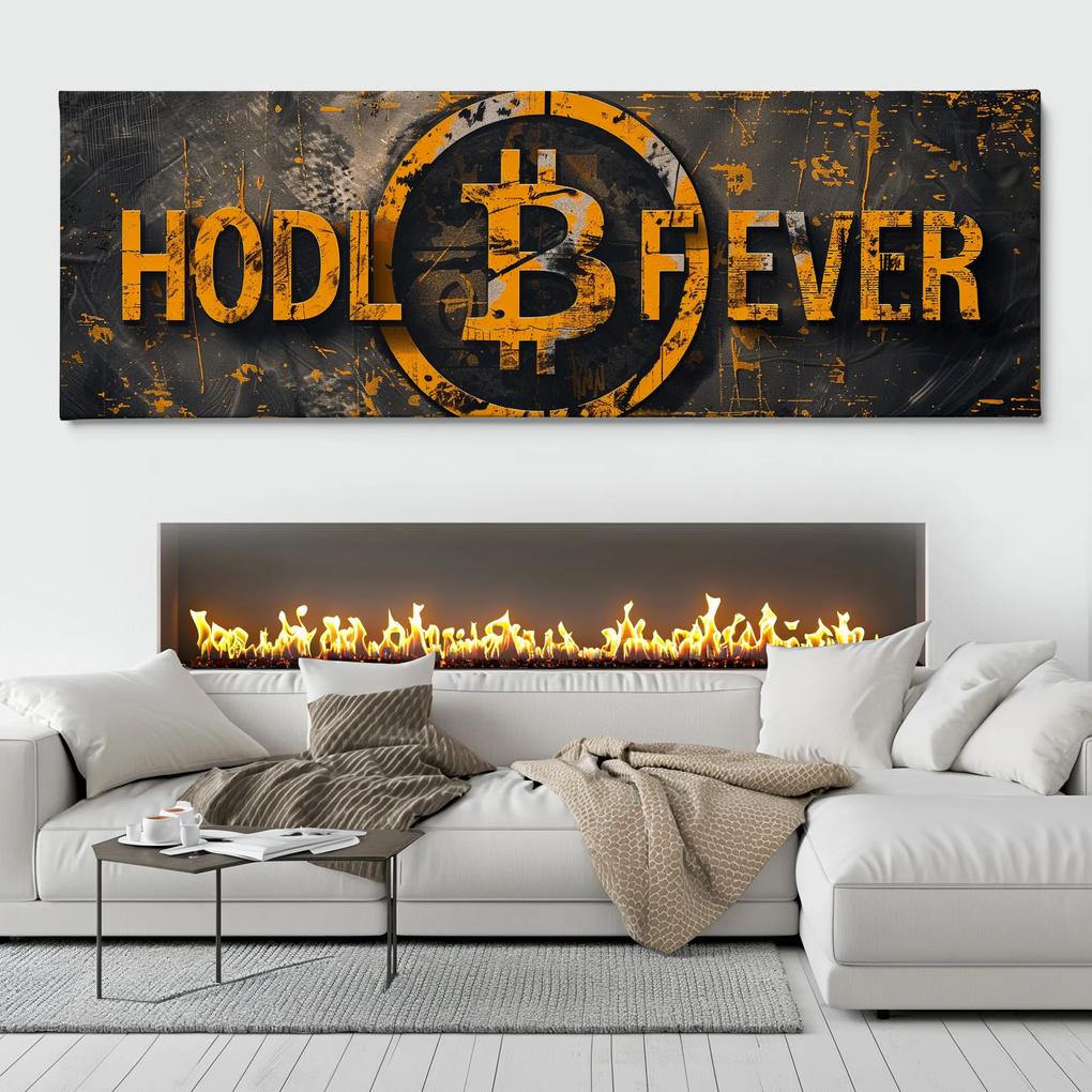 Obraz na plátně - Bitcoin, HODL Fever, grunge FeelHappy.cz Velikost obrazu: 120 x 40 cm