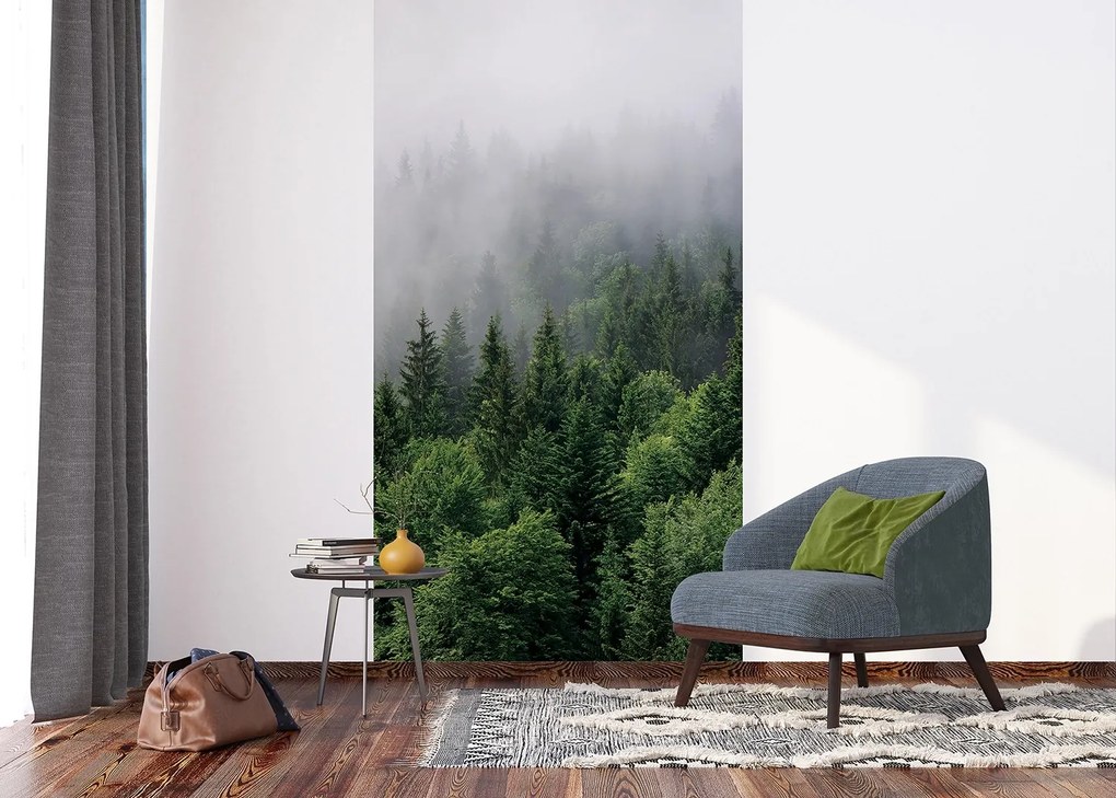 Vliesová fototapeta na zed' Vrcholky Stromů v Mlze | 150 x 270 cm | DFT2P2543