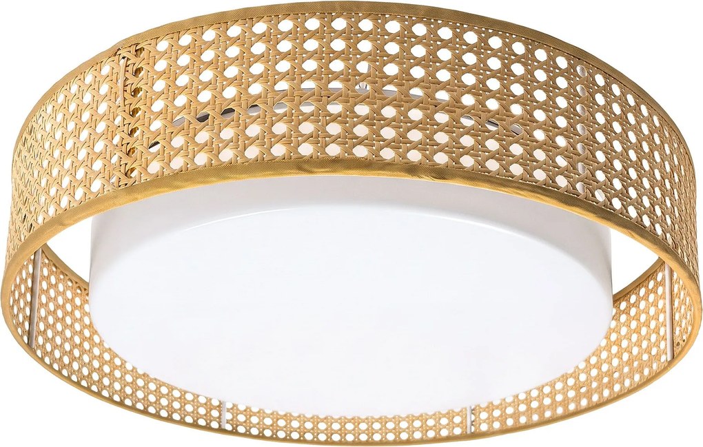 Toolight Toolight, LED stropní svítidlo plafon s ratanovým stínítkem 4000K, APP1934-C, bílá-ratan, 50 cm, OSW-66090